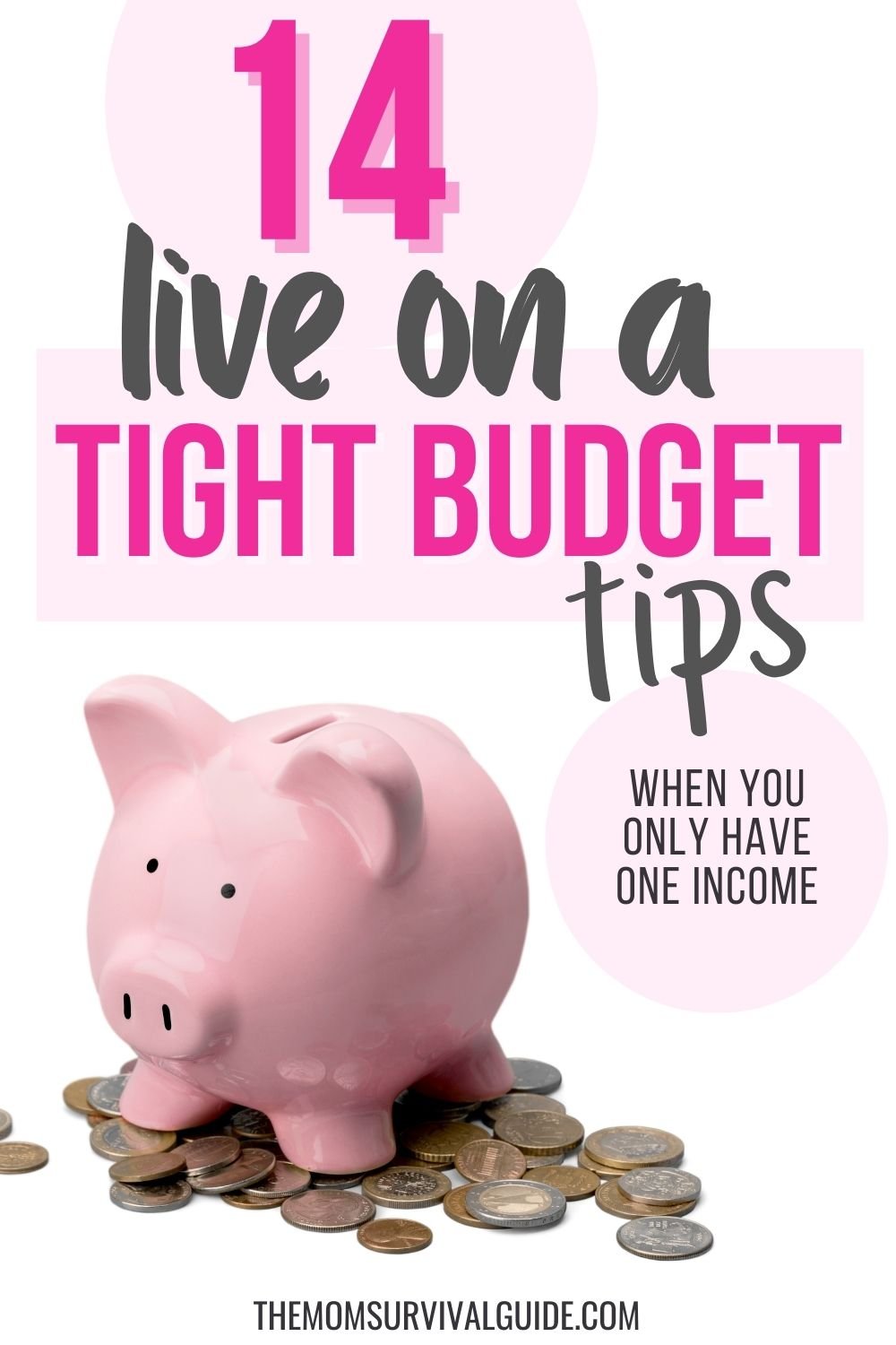 14 Easy Ways to Live On A Tight Budget With A Family