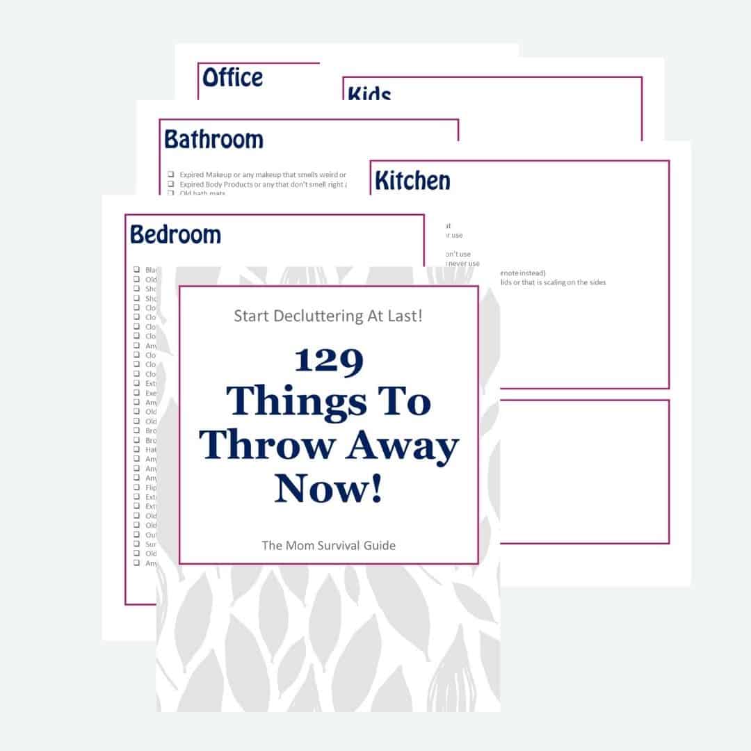 The Mom Survival Guide - The Mom Survival Guide