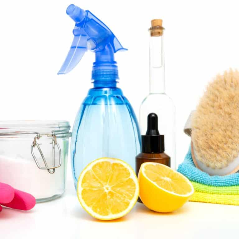 The Mom Survival Guide